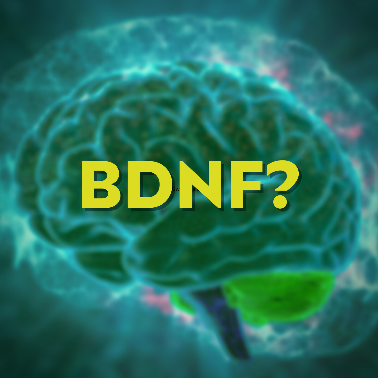 BDNF? – Oerjongens